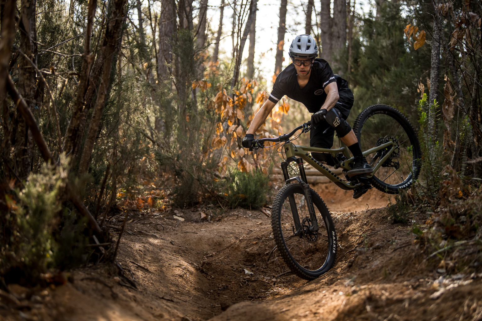 Tyee 6AL | PROPAIN Bicycles