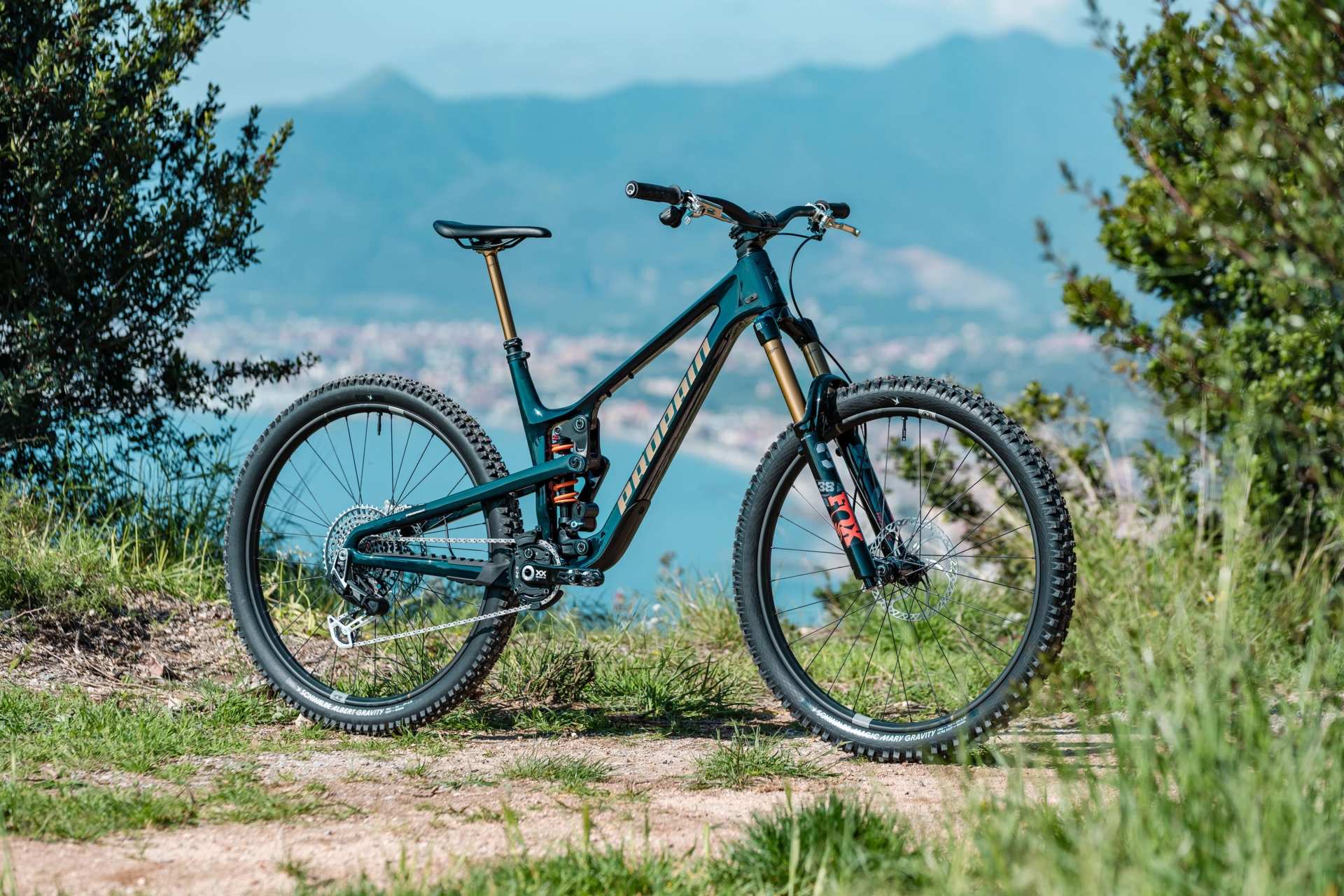 Frameset Tyee 6.1 CF | PROPAIN Bicycles