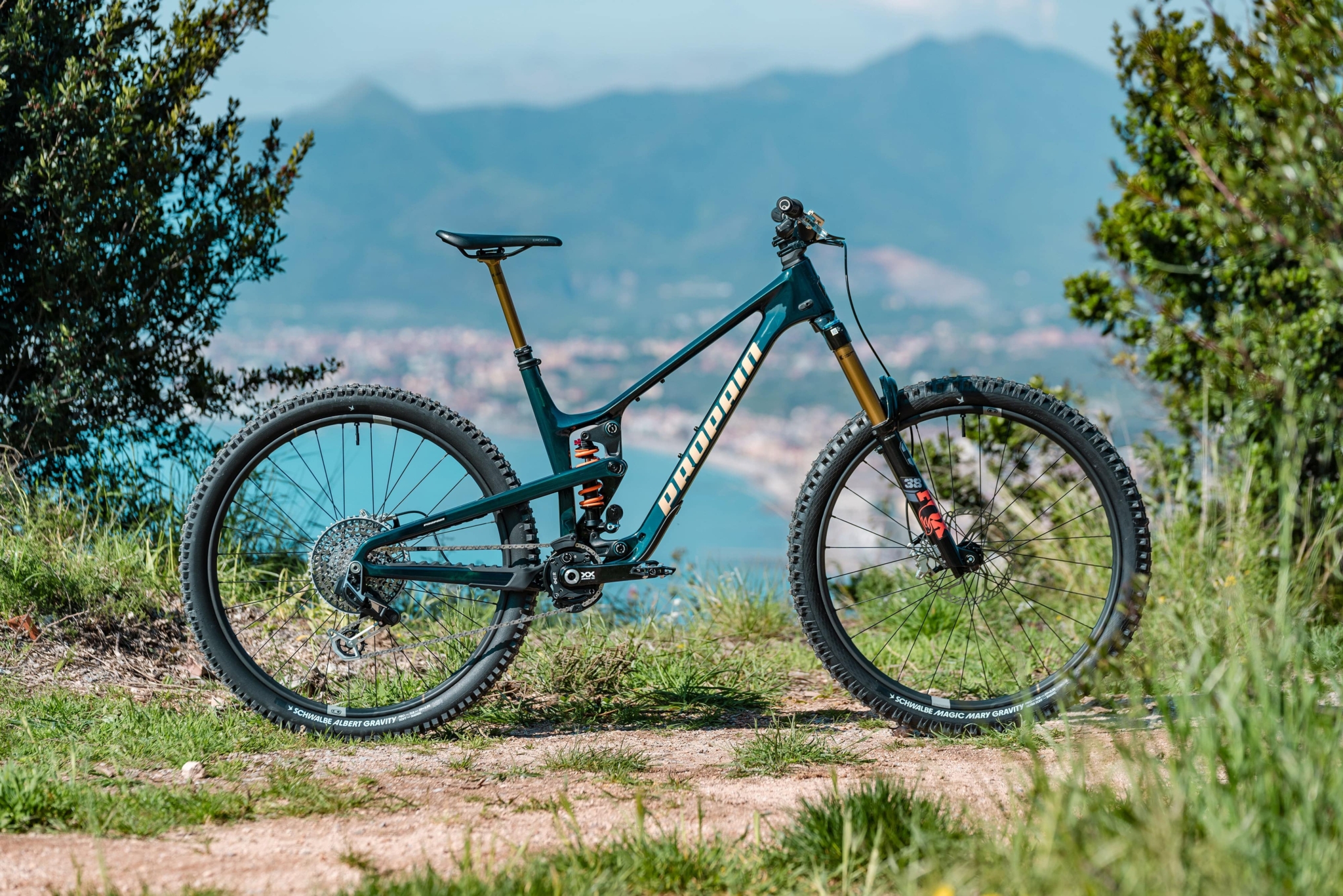 Frameset Tyee 6.1 CF | PROPAIN Bicycles