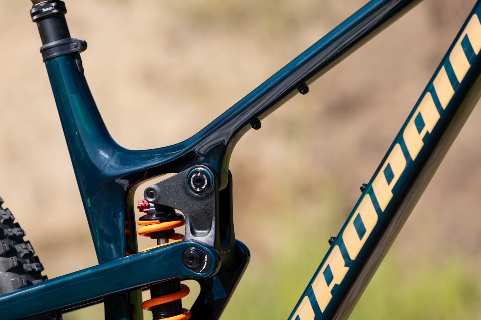 Frameset Tyee 6.1 CF | PROPAIN Bicycles